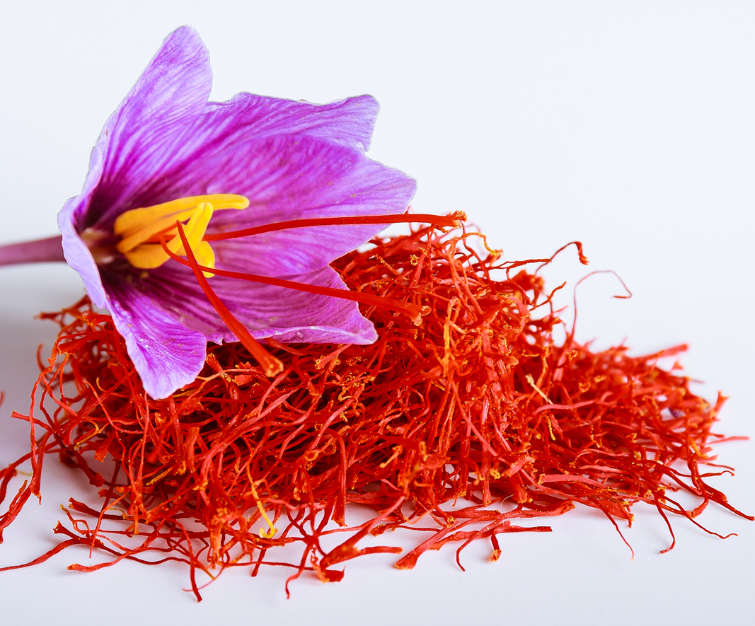 saffron | » MDR Nutrition Science